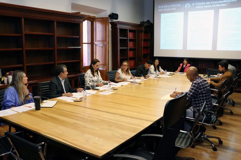 Da continuidad Poder Judicial de Michoacán a acciones en favor de ...